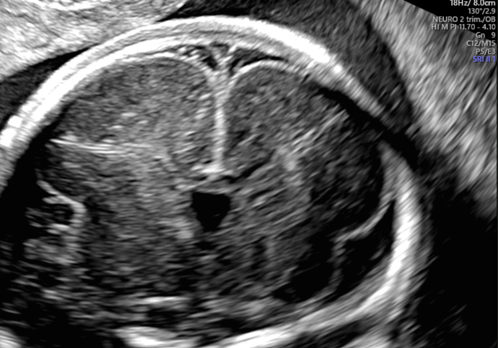 Course duration: 2 days