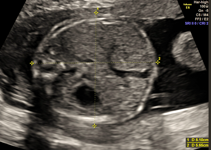 Course Duration: 1 day